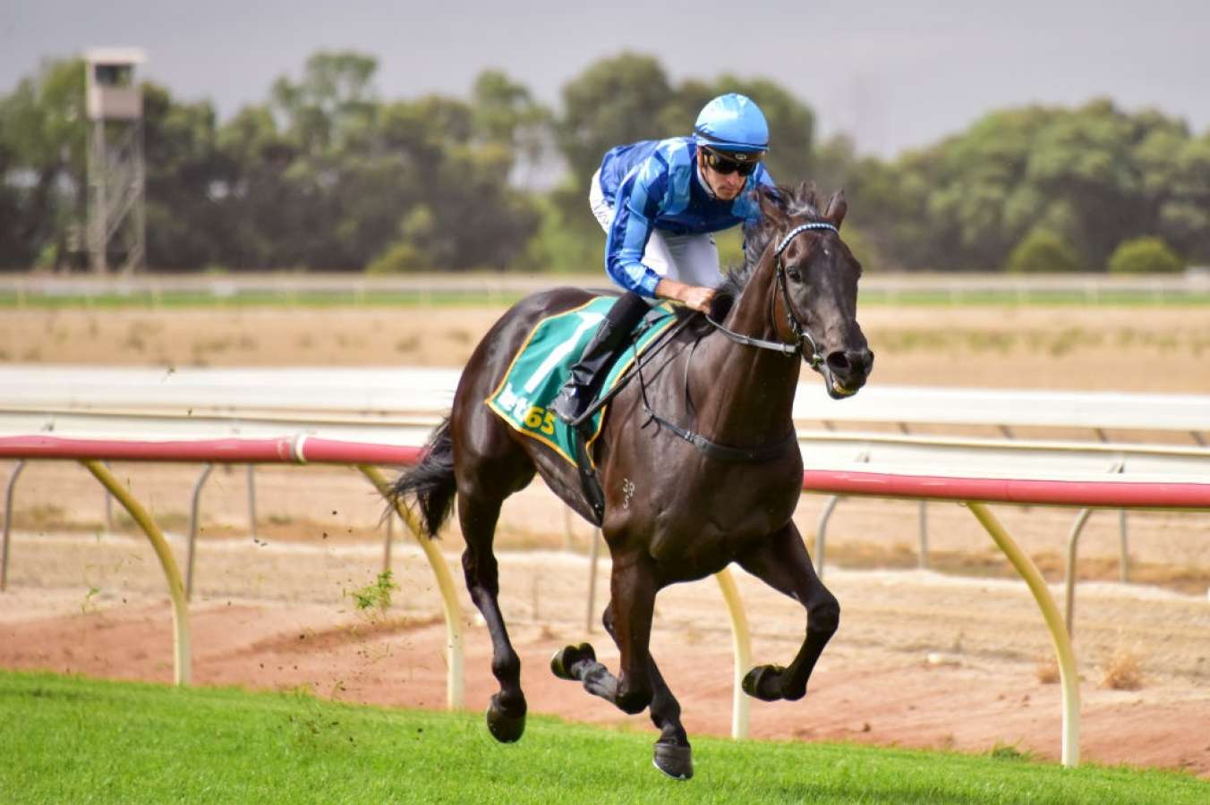 Mirette ready for return at Caulfield