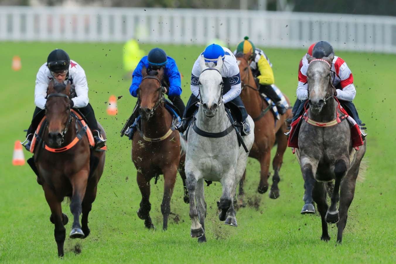 The Everest contenders shine in Randwick barrier trial
