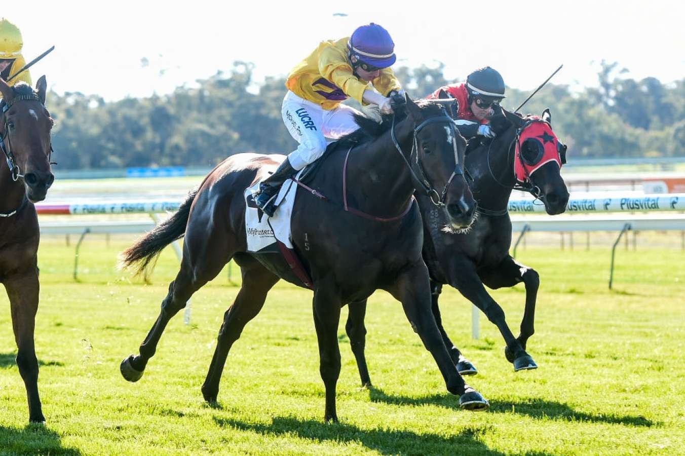 Trainer Bruce Purcells condition continues to improve