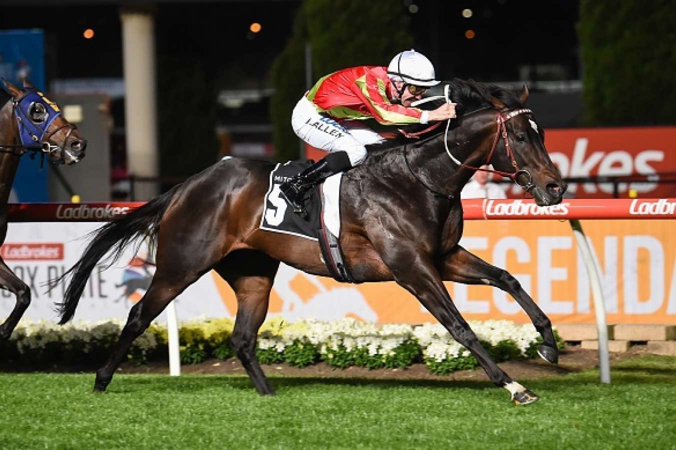 WATCH: Tamasa emerges from wilderness with haunting trial