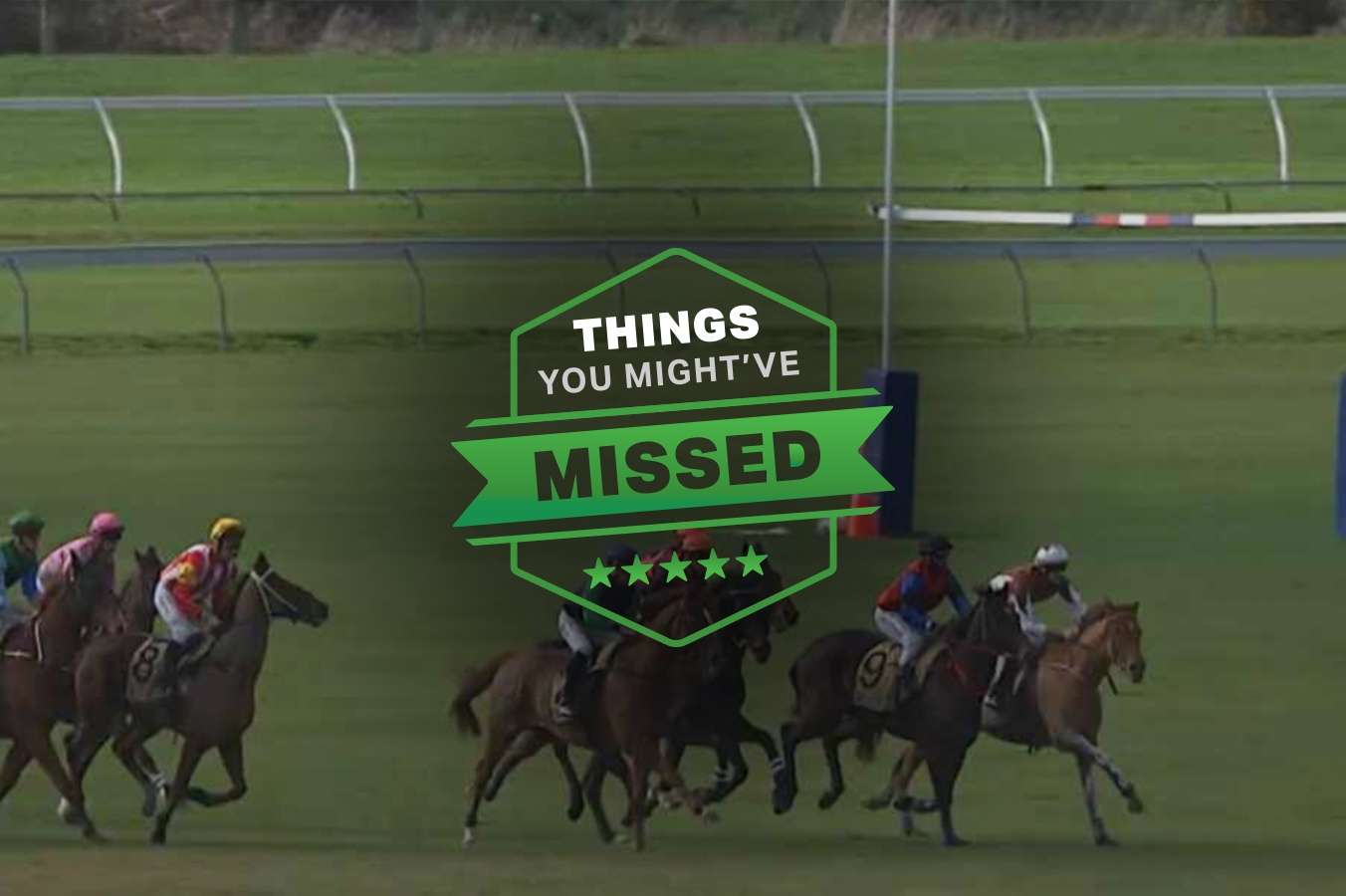 Things You Might Have Missed - July 15