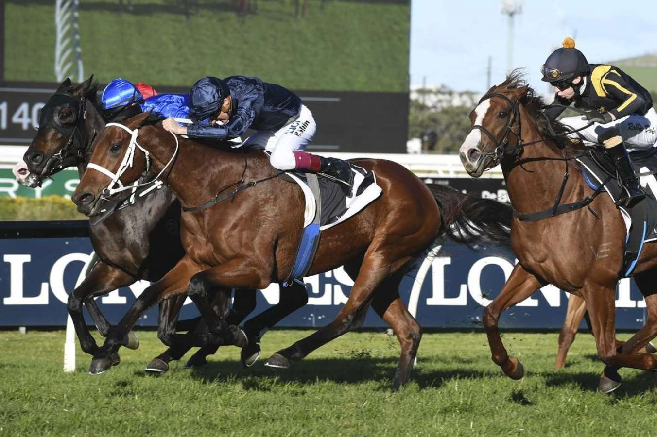 Eckstein adds Winter Stakes win to record