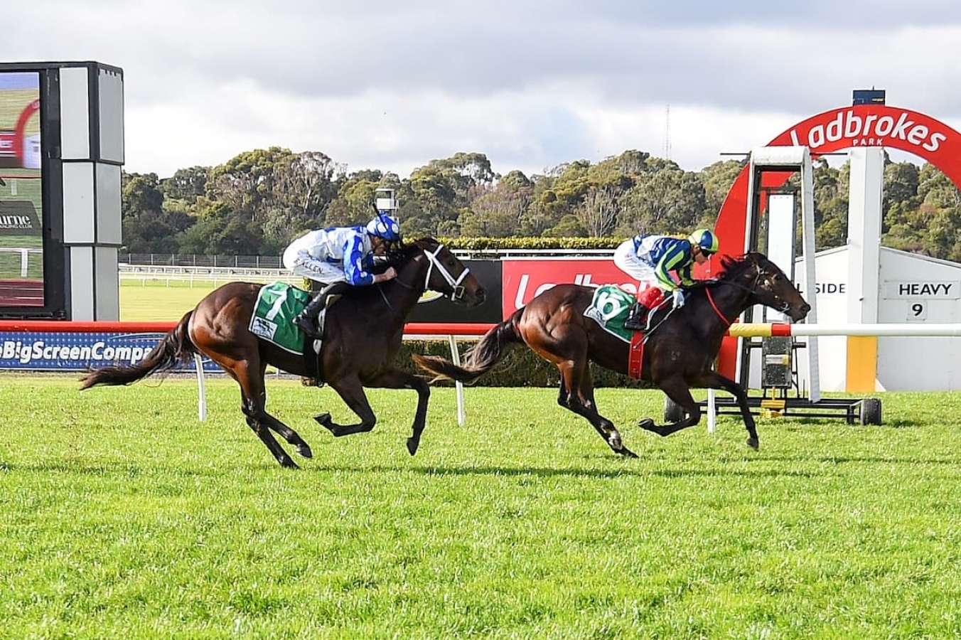 Indiscretion chasing first win at Sandown