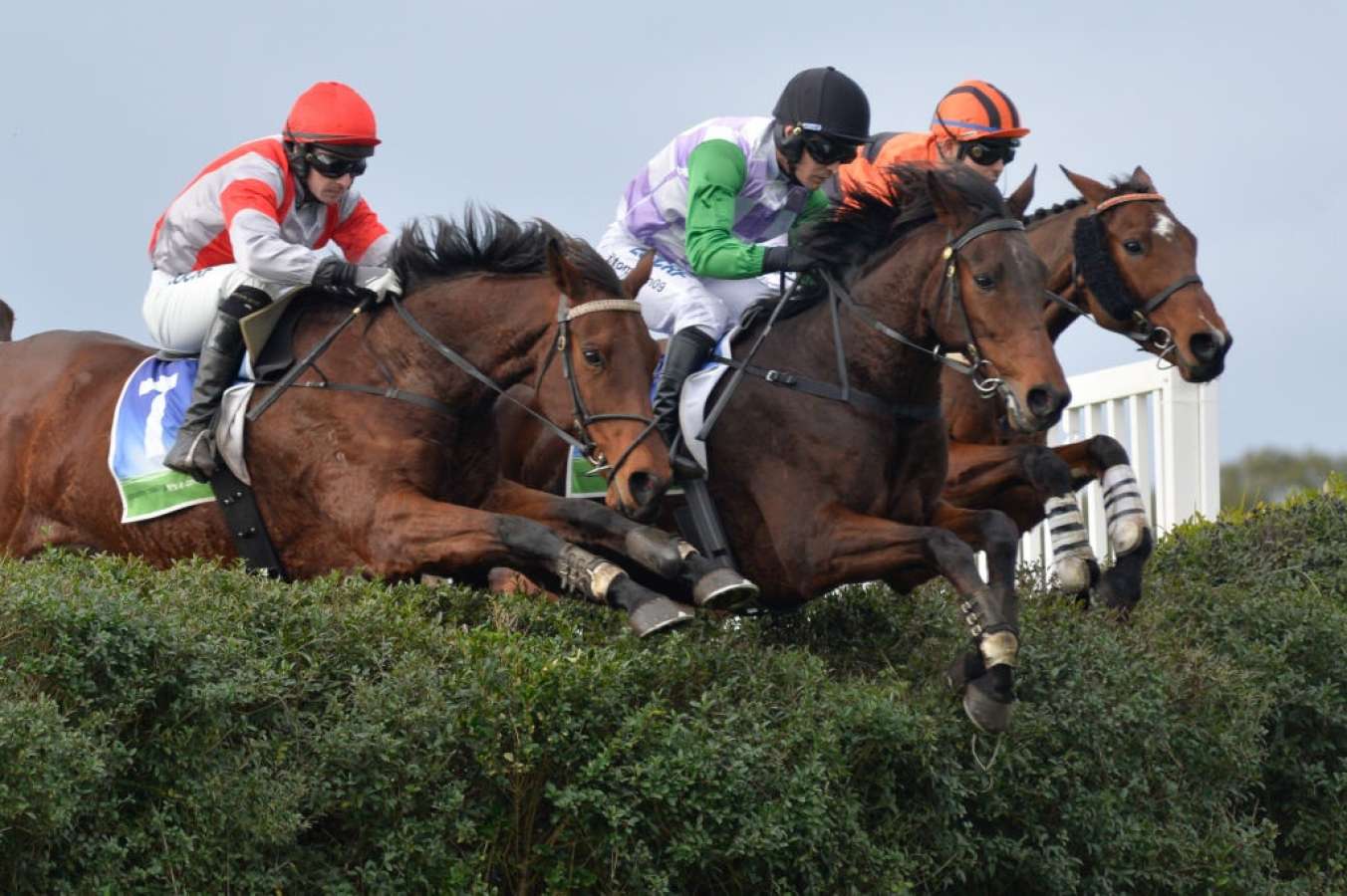 Broken ribs for jockey Ross OSullivan following Casterton fall