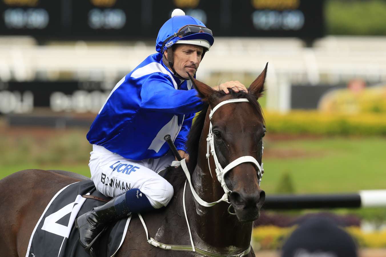 No sadness for Bowman over Winxs impending retirement