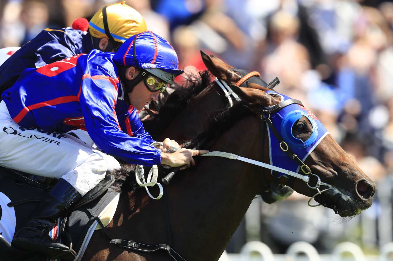 Krone wins in first Sydney appearance