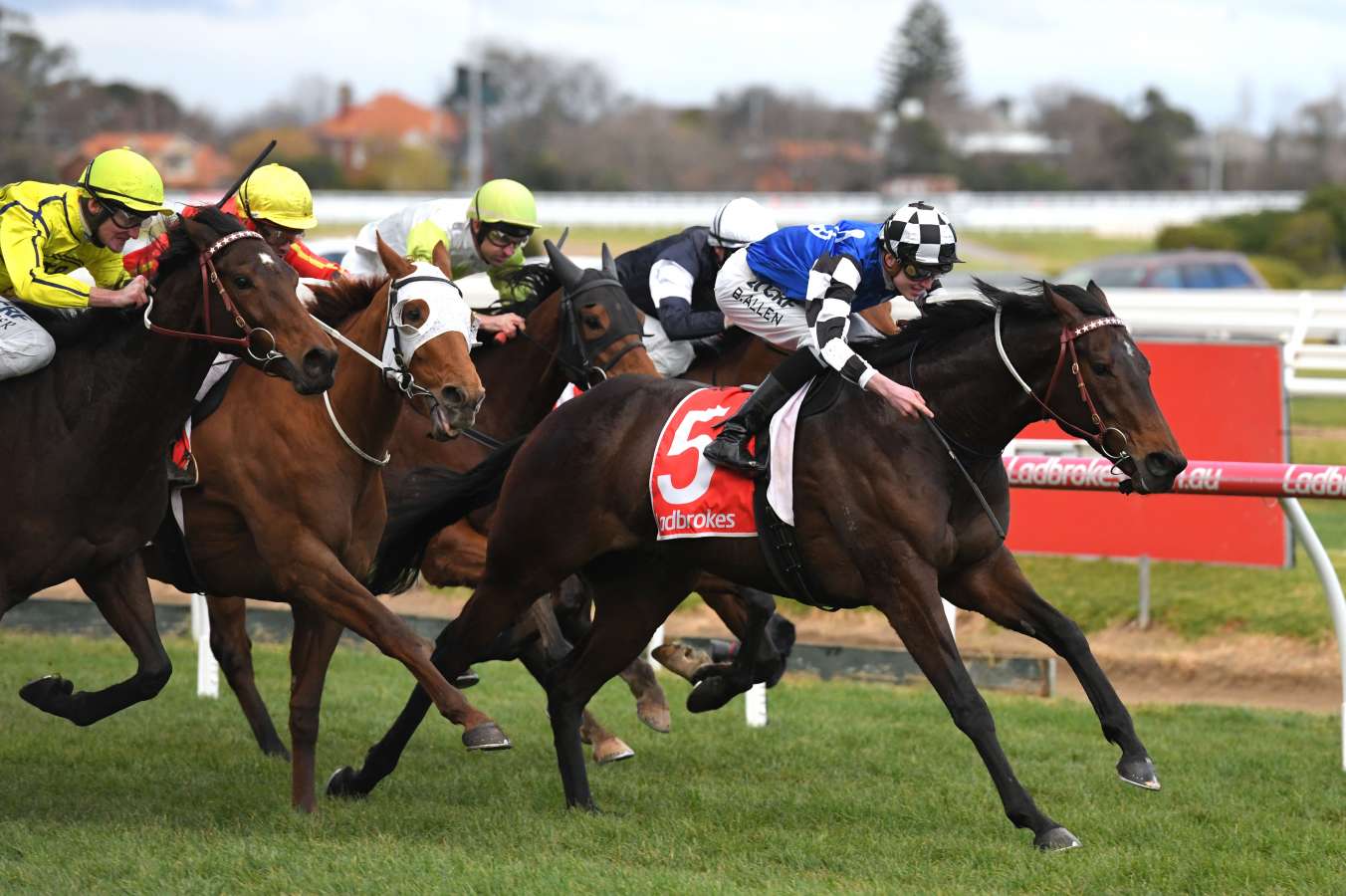 Talented import debuts for new stable at Flemington