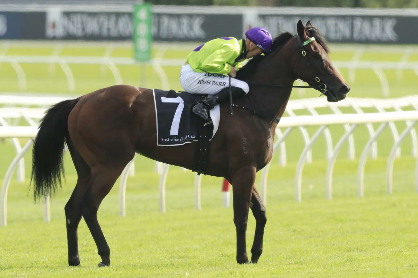 Nakeeta Jane to take on The Autumn Sun in Randwick Guineas