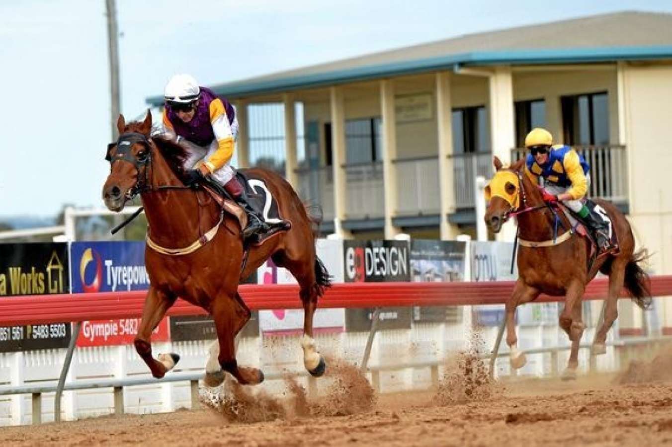 Back to country roots for trainer Pat Duff