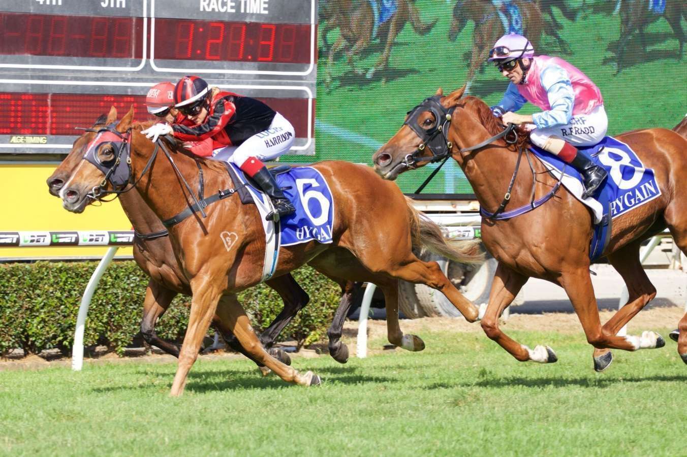 Doomben preview and tips: Saturday, November 24