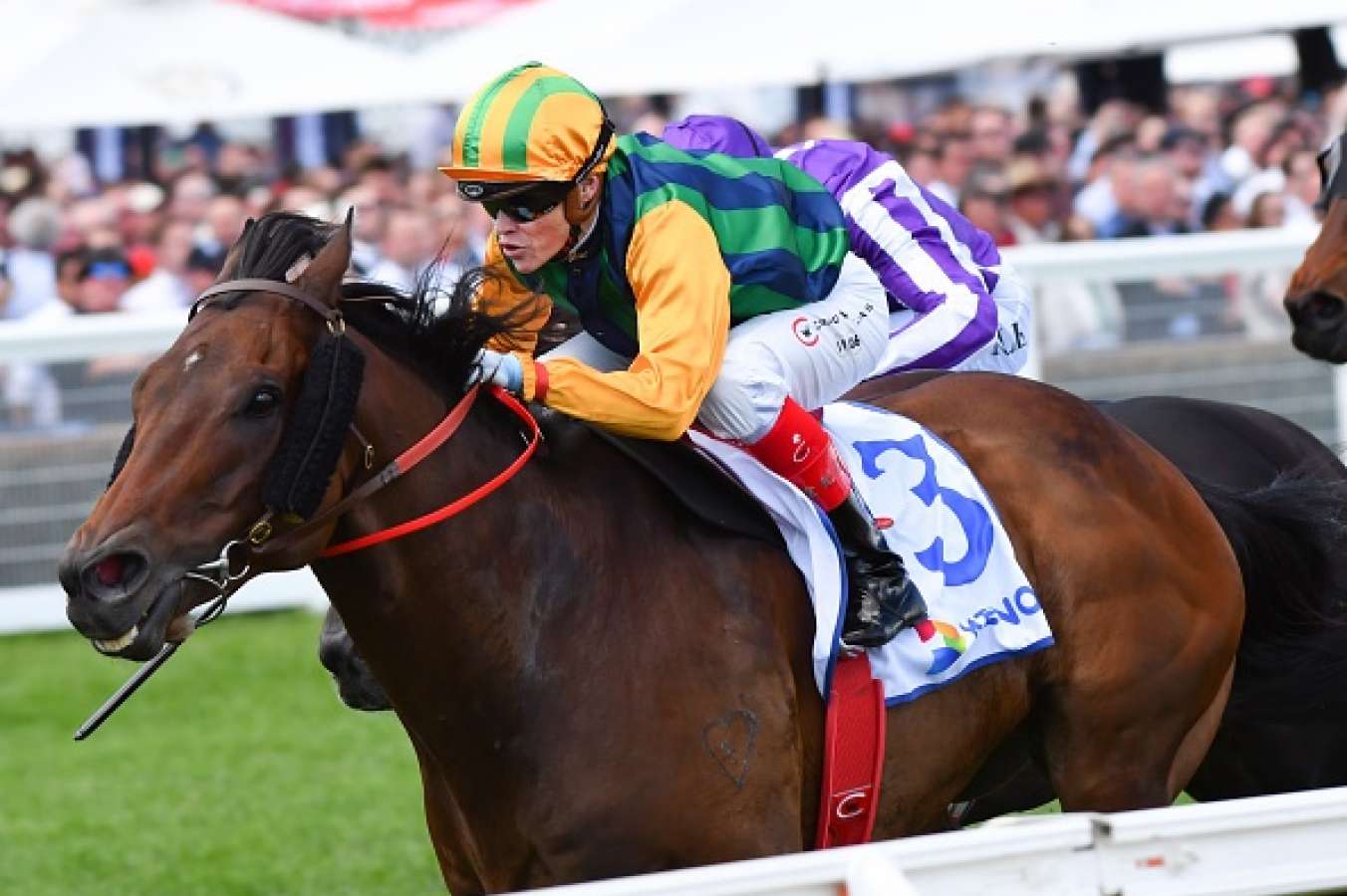 Pride shattered after Ball of Muscle bleed