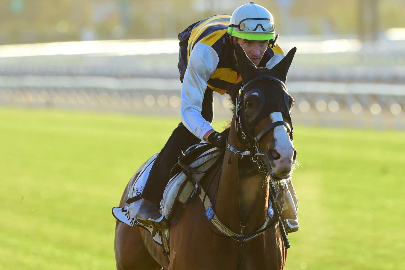 Tom Melbourne second in Gold Coast trial