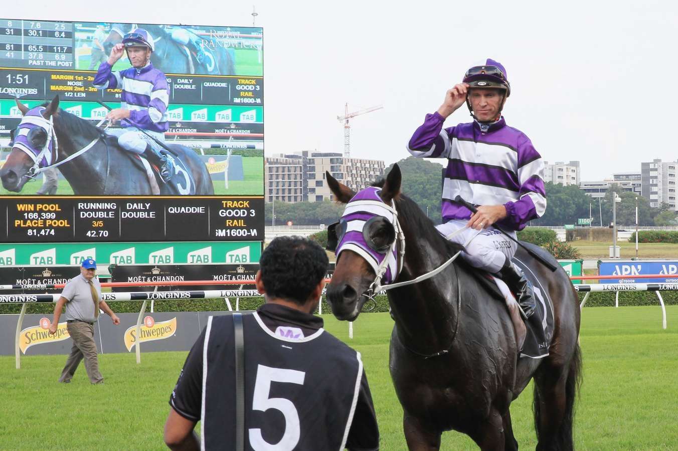 Promising Waller colt Higher Ground dies during stomach operation