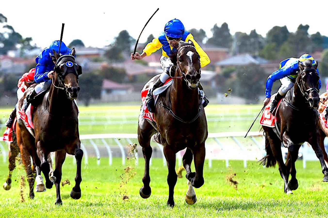 Morphettville Parks preview - Saturday April 30