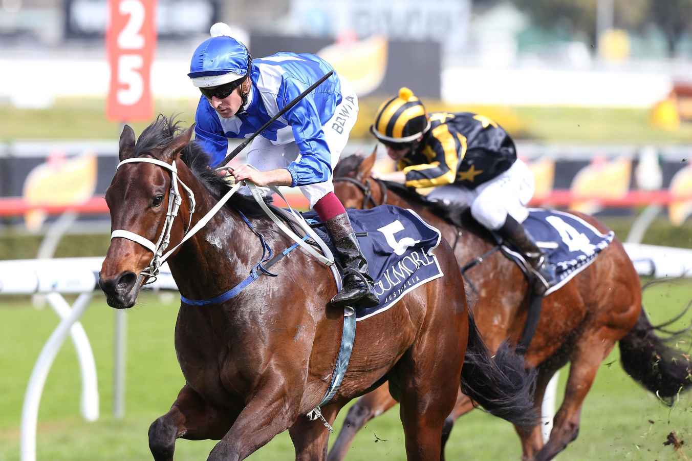 Australian mare Winx the worlds best