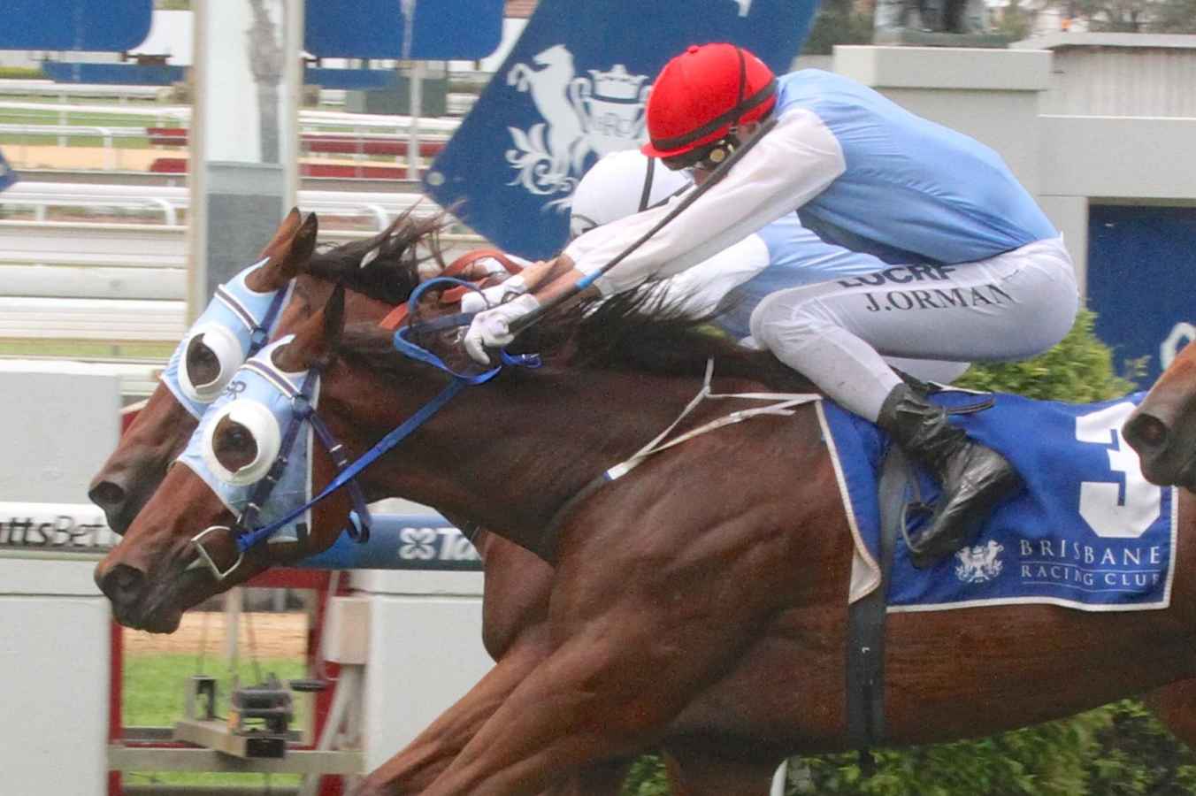 James Orman posts Qld century of winners