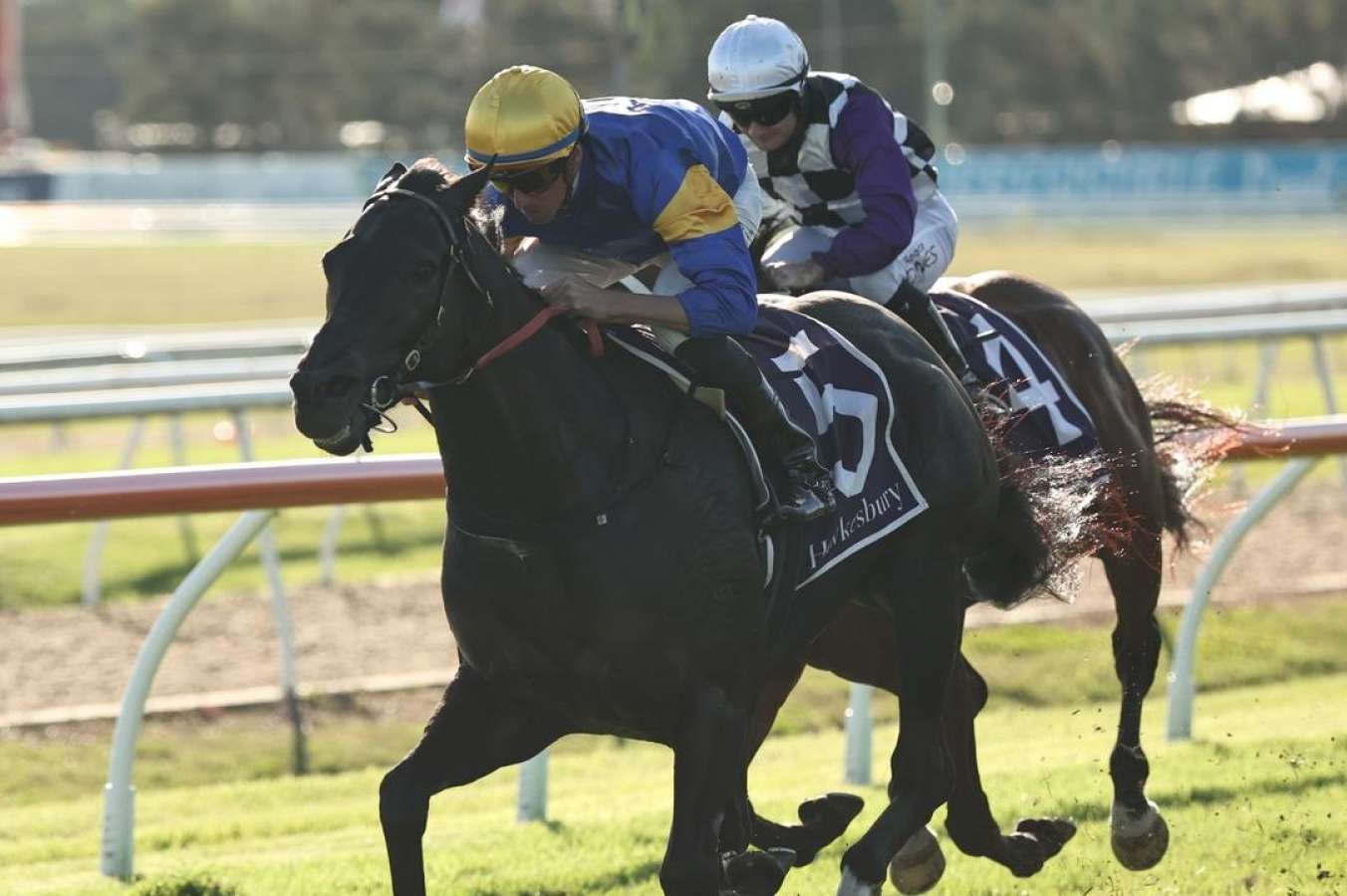 Punch Lane earns Big Dance qualification by winning the Hawkesbury Gold Cup
