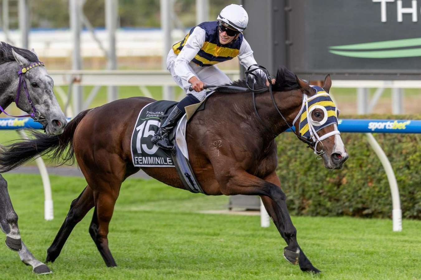 South Australian Derby result and replay: Femminile wins