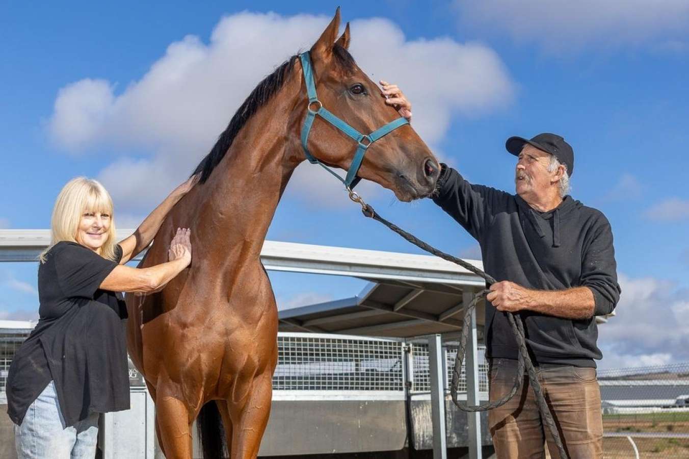 I feel like scratching him: South Australian Derby setback for trainer ...