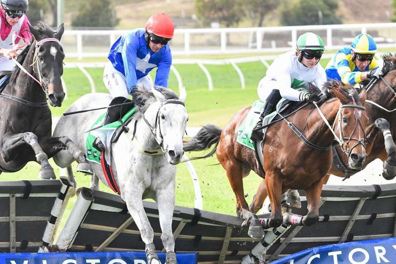 The Cunning Fox prevails in thrilling Galleywood Hurdle victory