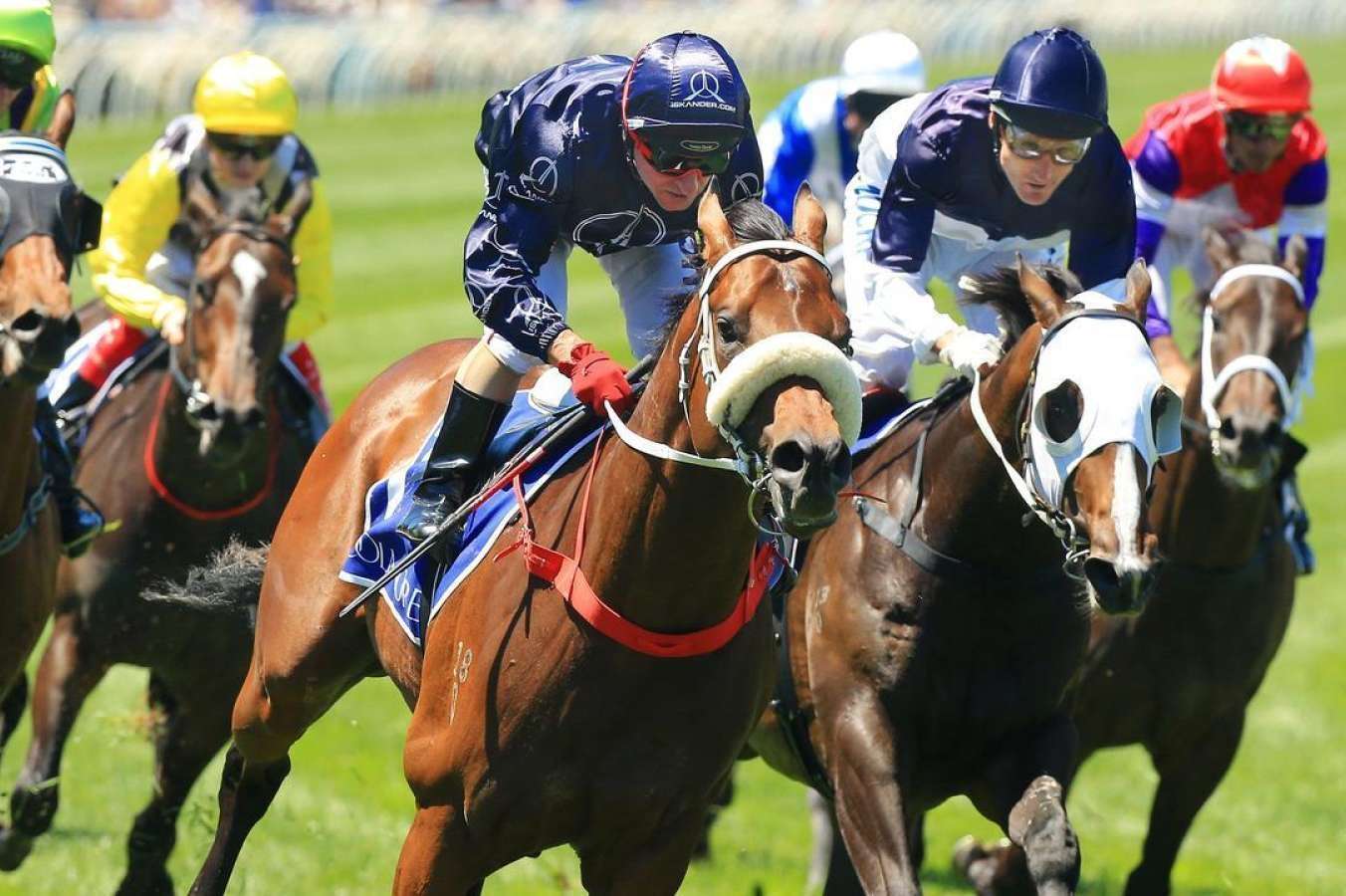Boomer Bloodstock purchases share in super stallion Zoustar for $1.1m