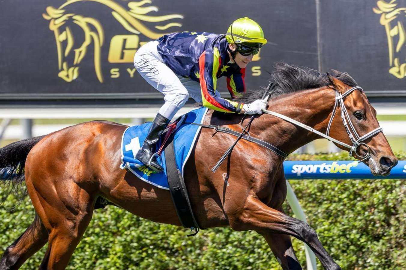 Goldrush Guru prepares for SA Derby, Watchme Win earns shot at The ...