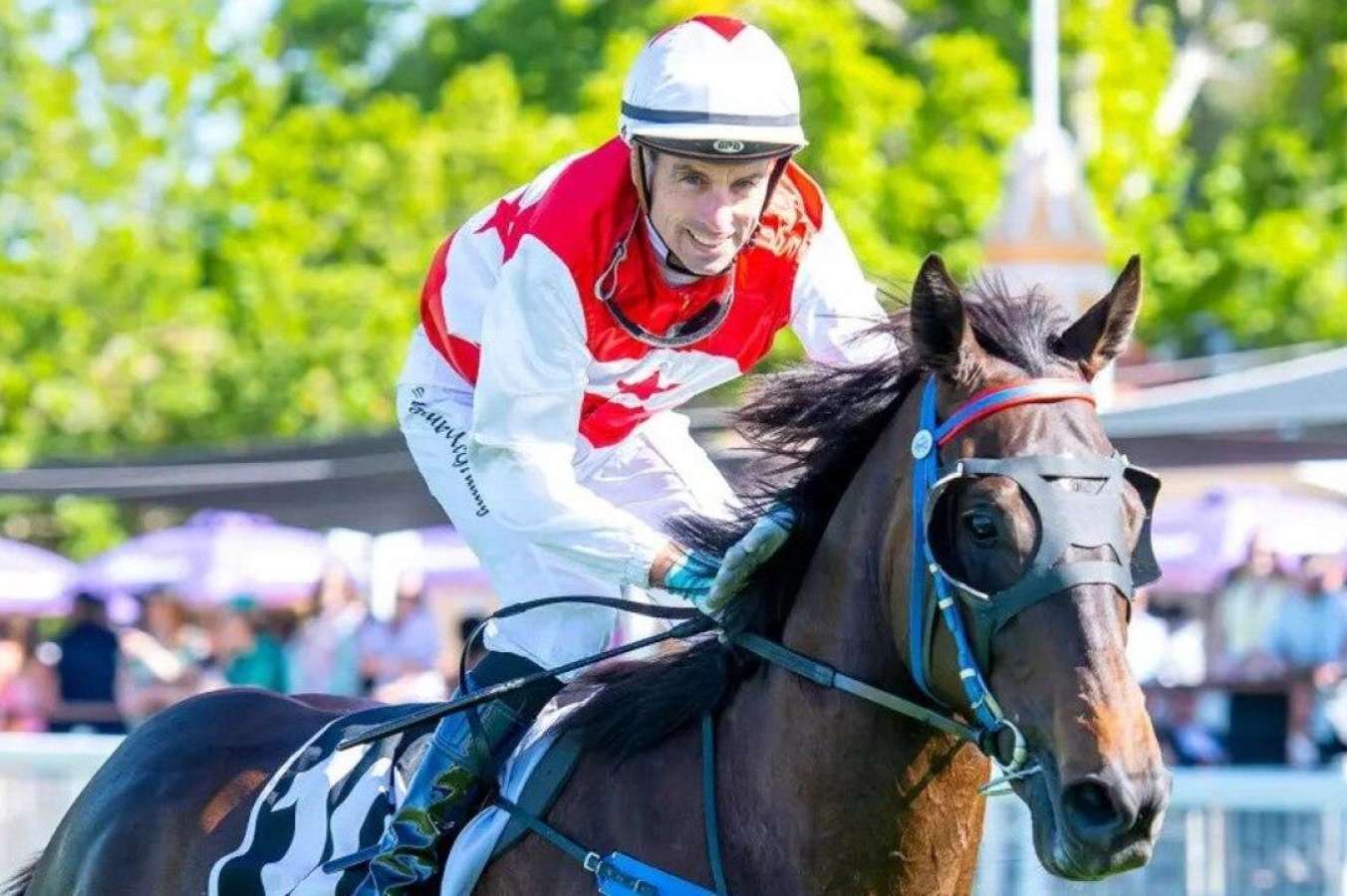 Brilliant sprinter Rope Them In out to rebound in $5 million The Quokka ...