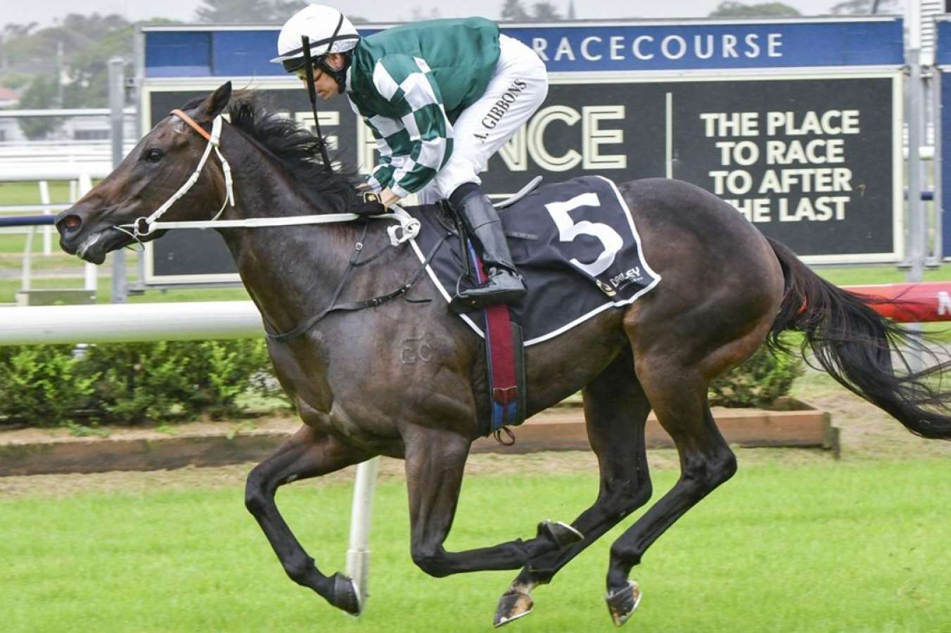 Prolific producer Hell Its Hot set to come to the fore again at Canterbury