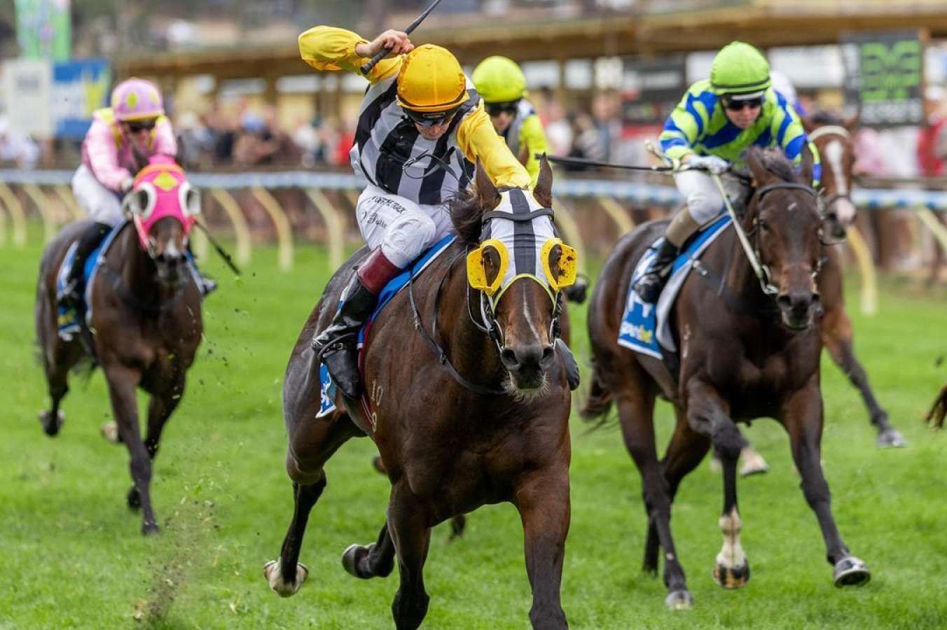 Volcanic Express charges home for remarkable win in Hills Railway ...