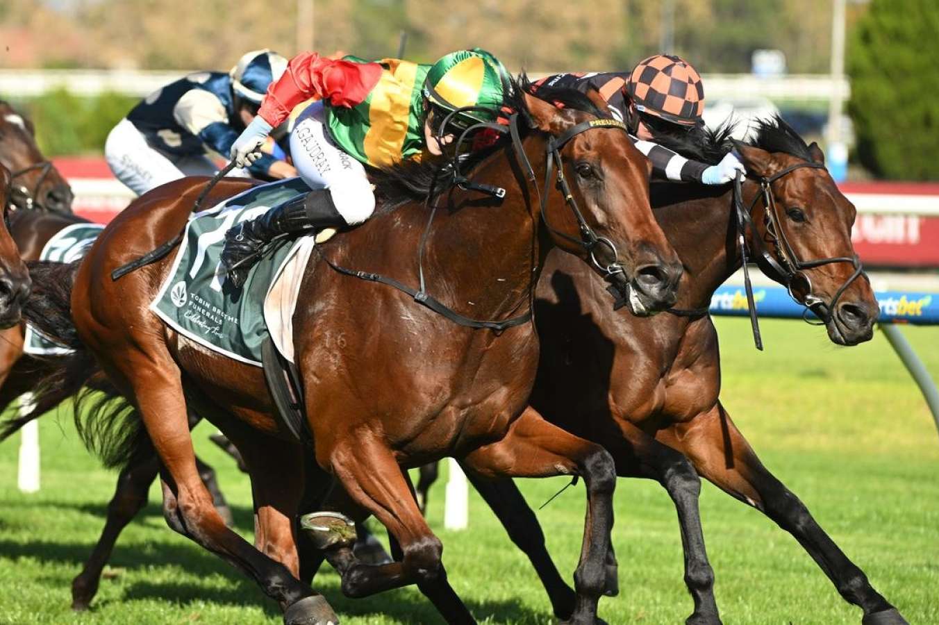 Trainer Paul Preusker sets sights on Mornington Cup with smart stayer ...