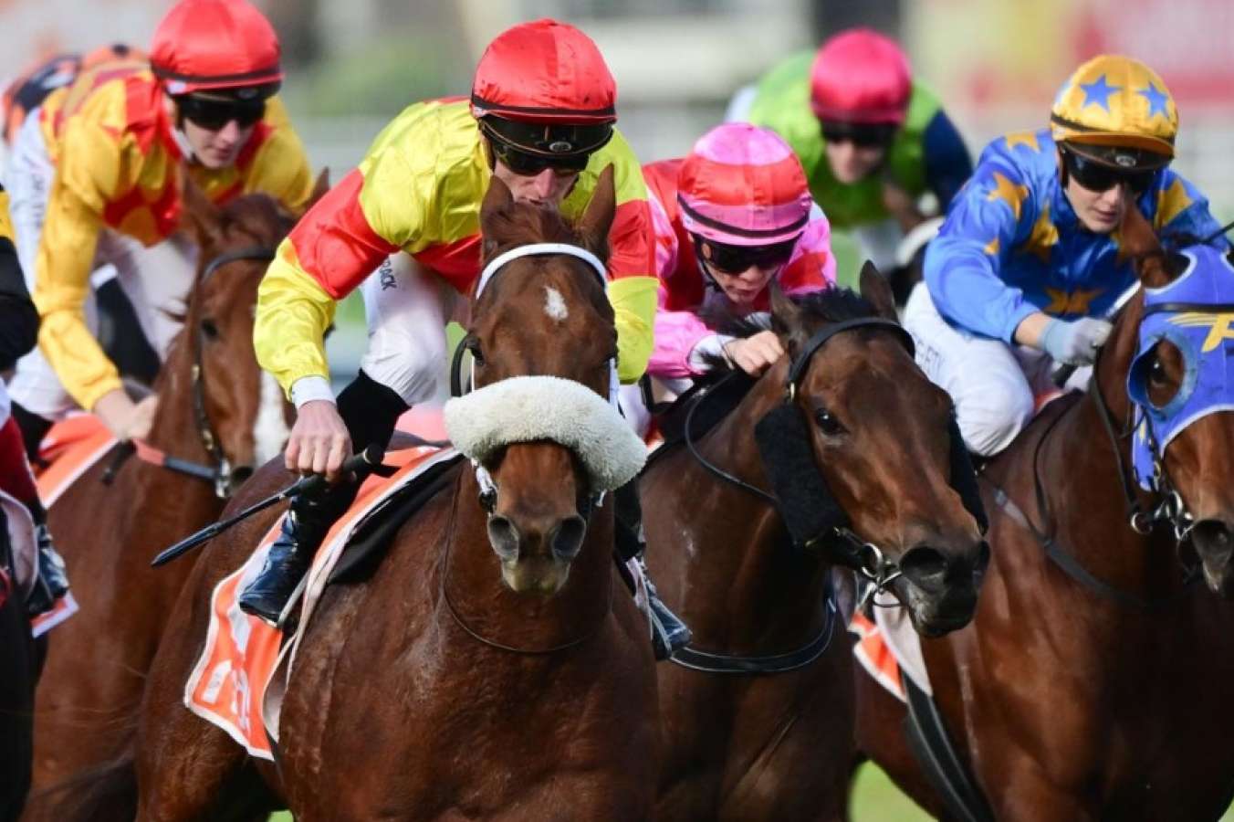 Phillip Stokes plays down second-up specialist Arran Bays Golden Mile hopes