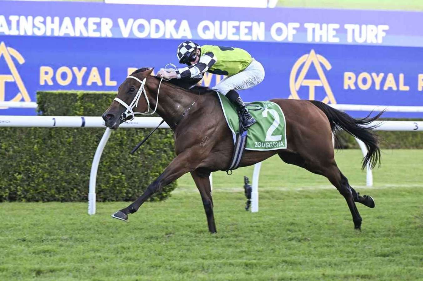 Queen of the Turf Stakes Field - 2025