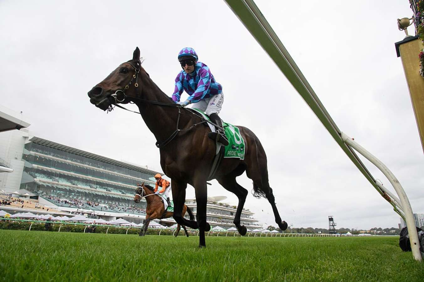 Queen Elizabeth Stakes champ Pride Of Jenni faces a crucial track ...