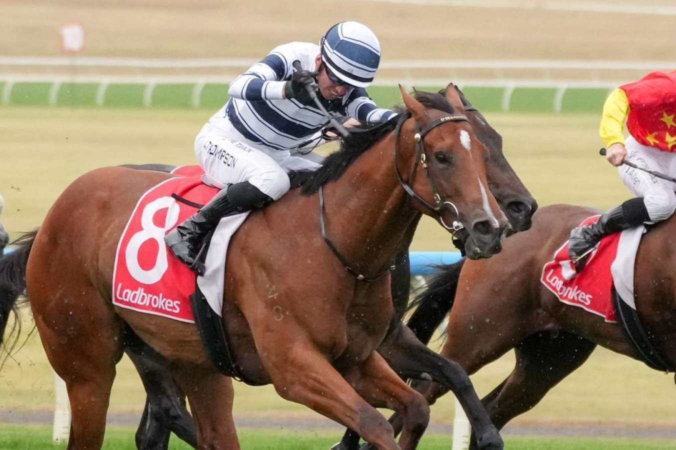 Everest dream over but trainer still proud