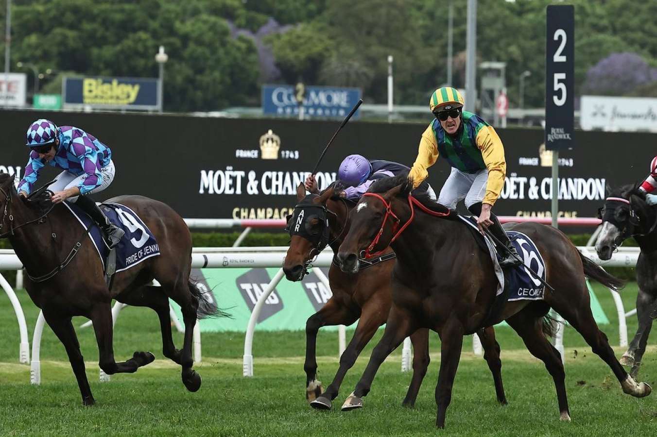 Ceolwulf to bypass the Doncaster for the Queen Elizabeth Stakes