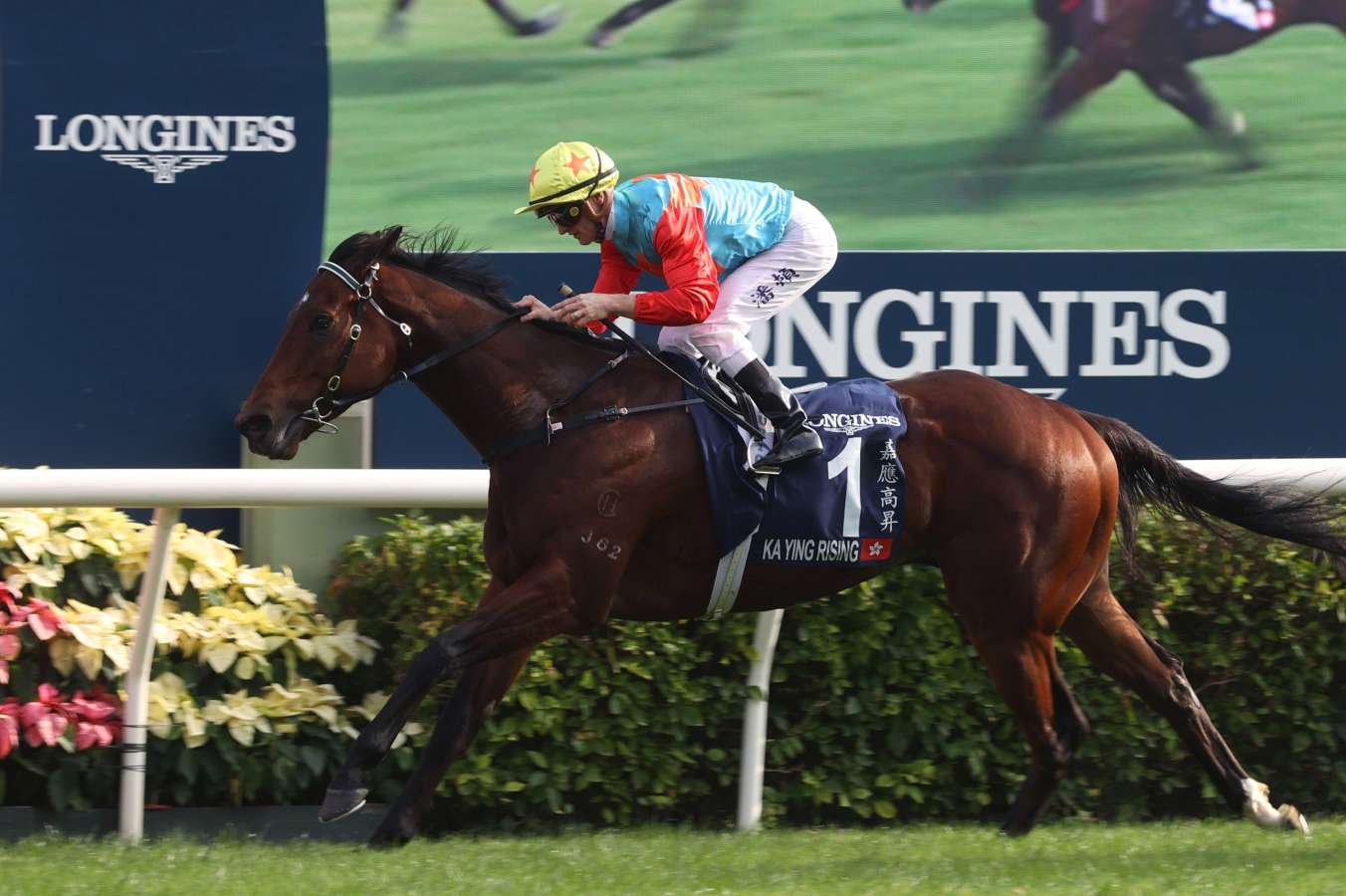 Zac Purton upbeat about Ka Ying Rising reunion