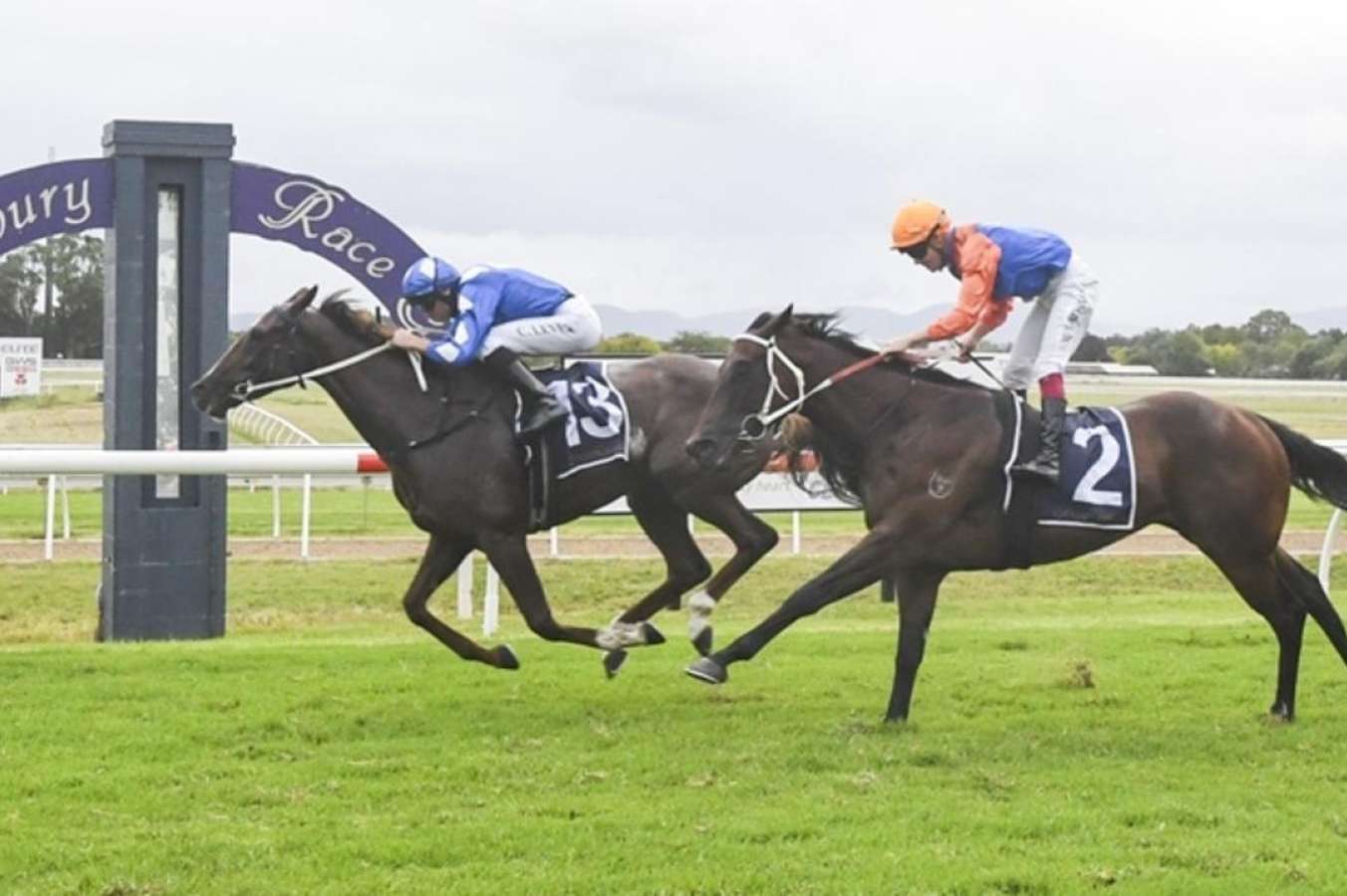 Broodmare back to racemare: The remarkable story of Mahogany Girl