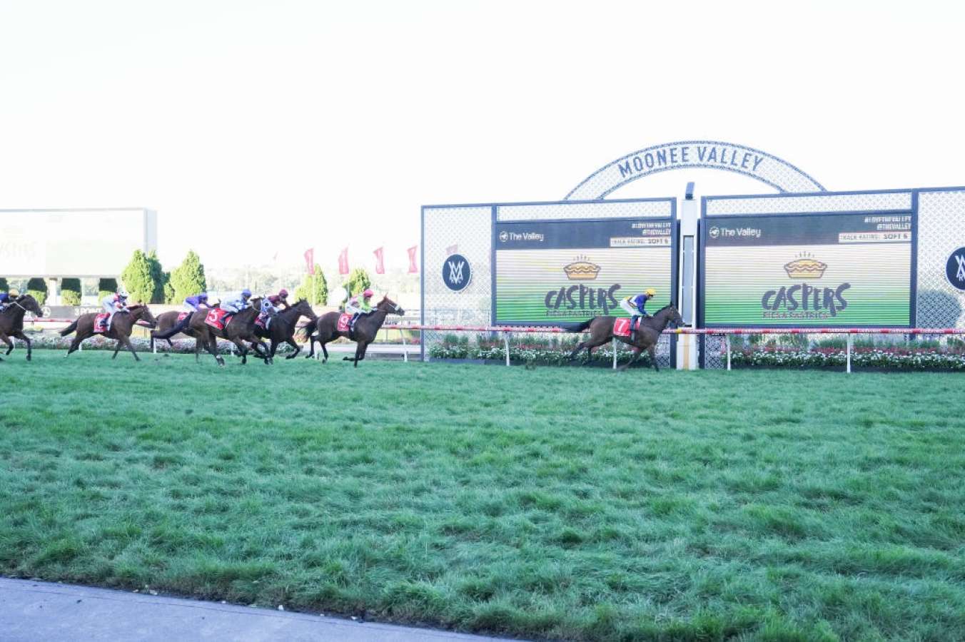 Such a bloody shame: Moonee Valley track manager Tony Salisbury bemoans ...