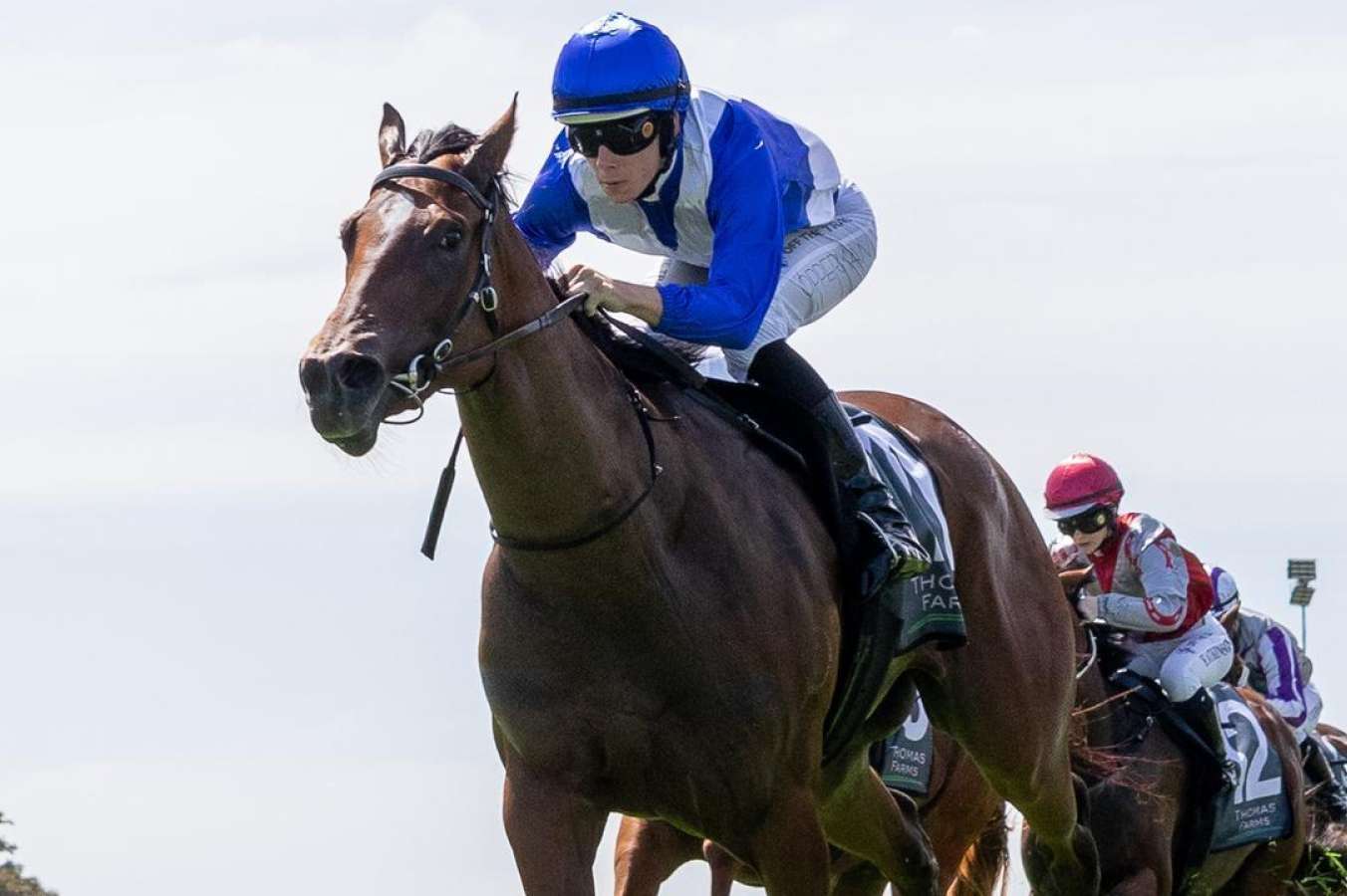 Frothy Macaw delivers Matthew Seyers first win for owner John Singleton