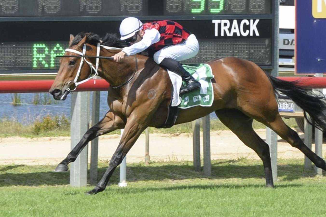 Joe Janiak back at races for unbeaten sprinter in Takeover Target colours