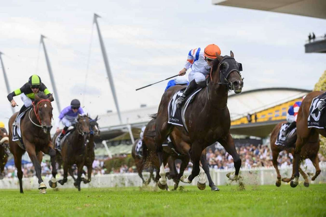 George Ryder Stakes Field - 2025