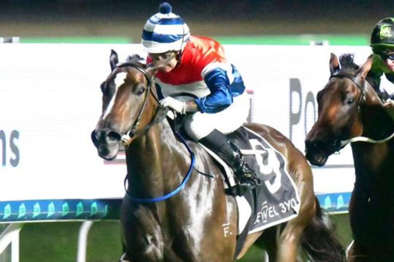 Queenslands marathon Super Saturday wagering turnover figures revealed