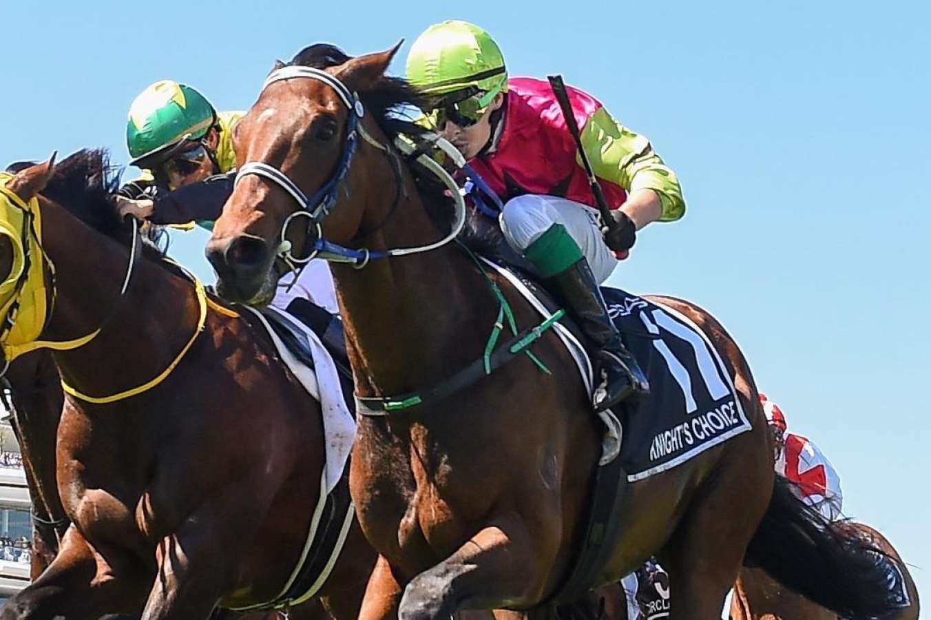 Melbourne Cup champion Knights Choice returning home for Queensland ...