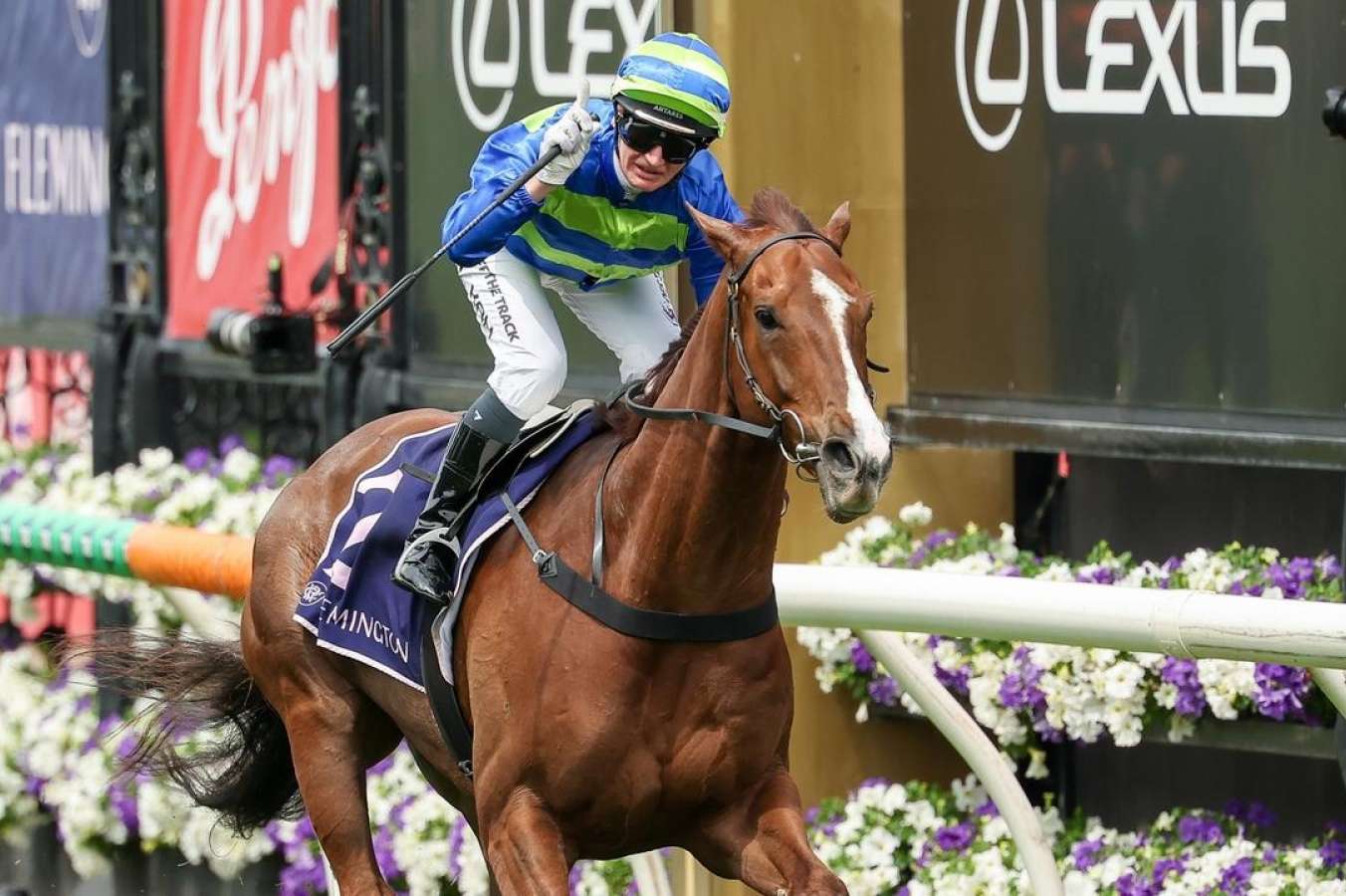 Jamie Kah has query about Mr Brightside in All-Star Mile rematch ...