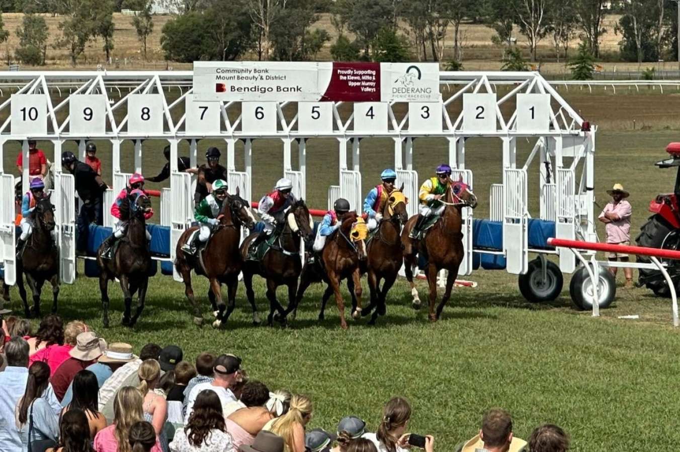 This Is How We Race - Picnic Racing at Dederang