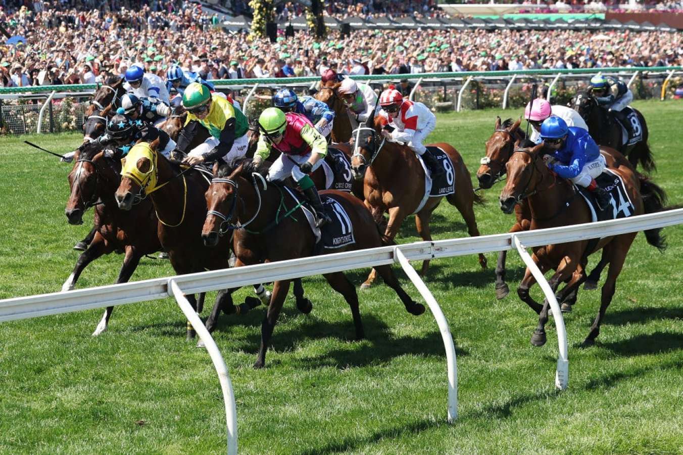 Melbourne Cup winner Knights Choice ruled out of All-Star Mile