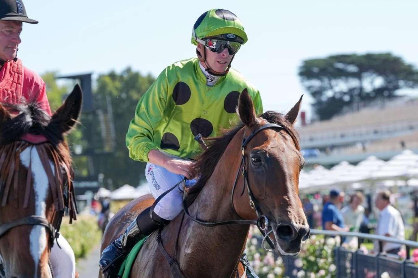 Is Marble Arch bound for the 2025 All-Star Mile? Big decision looms for ...