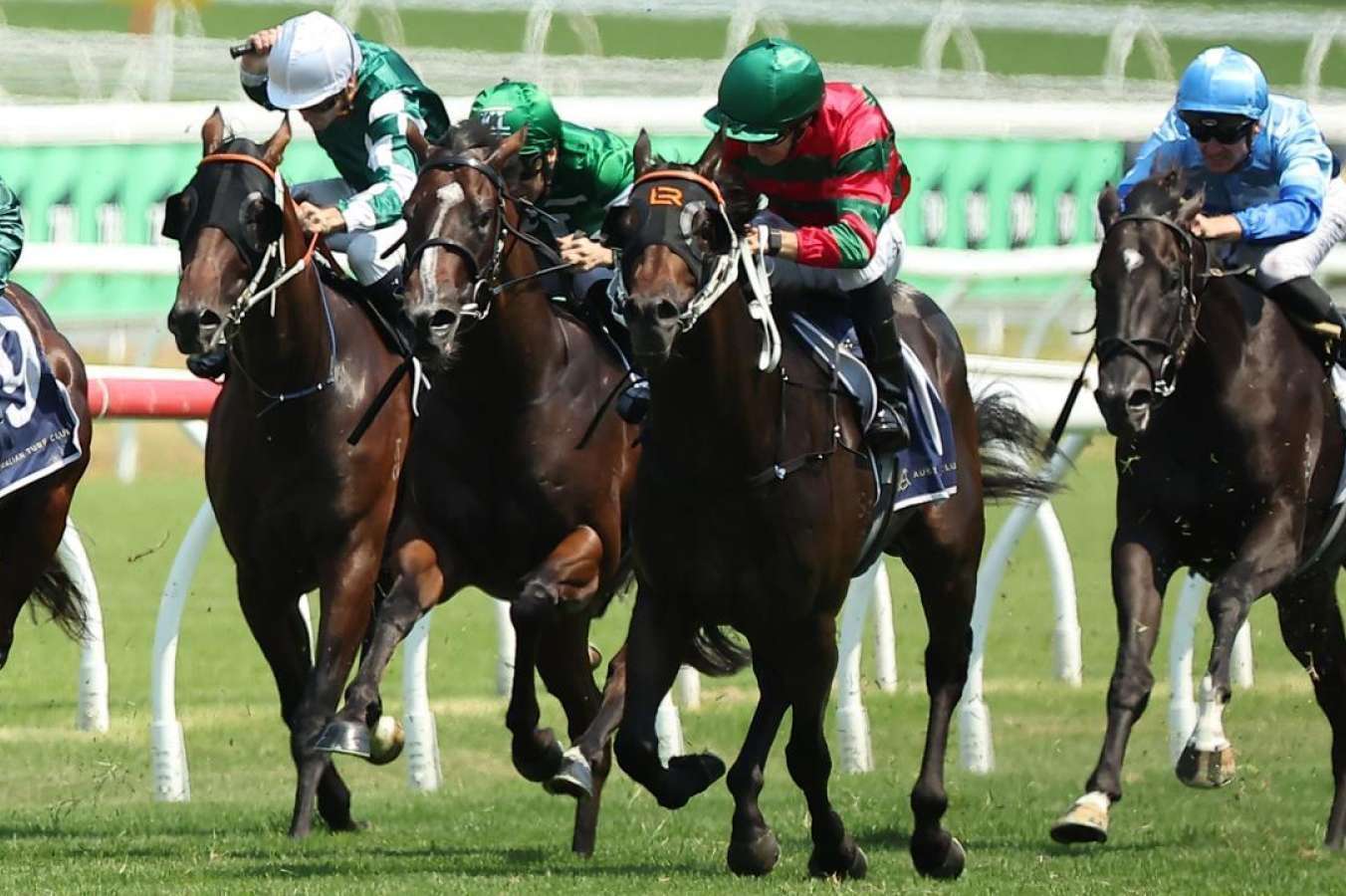 Next stop Golden Slipper for unbeaten Kris Lees unbeaten colt Rivellino ...