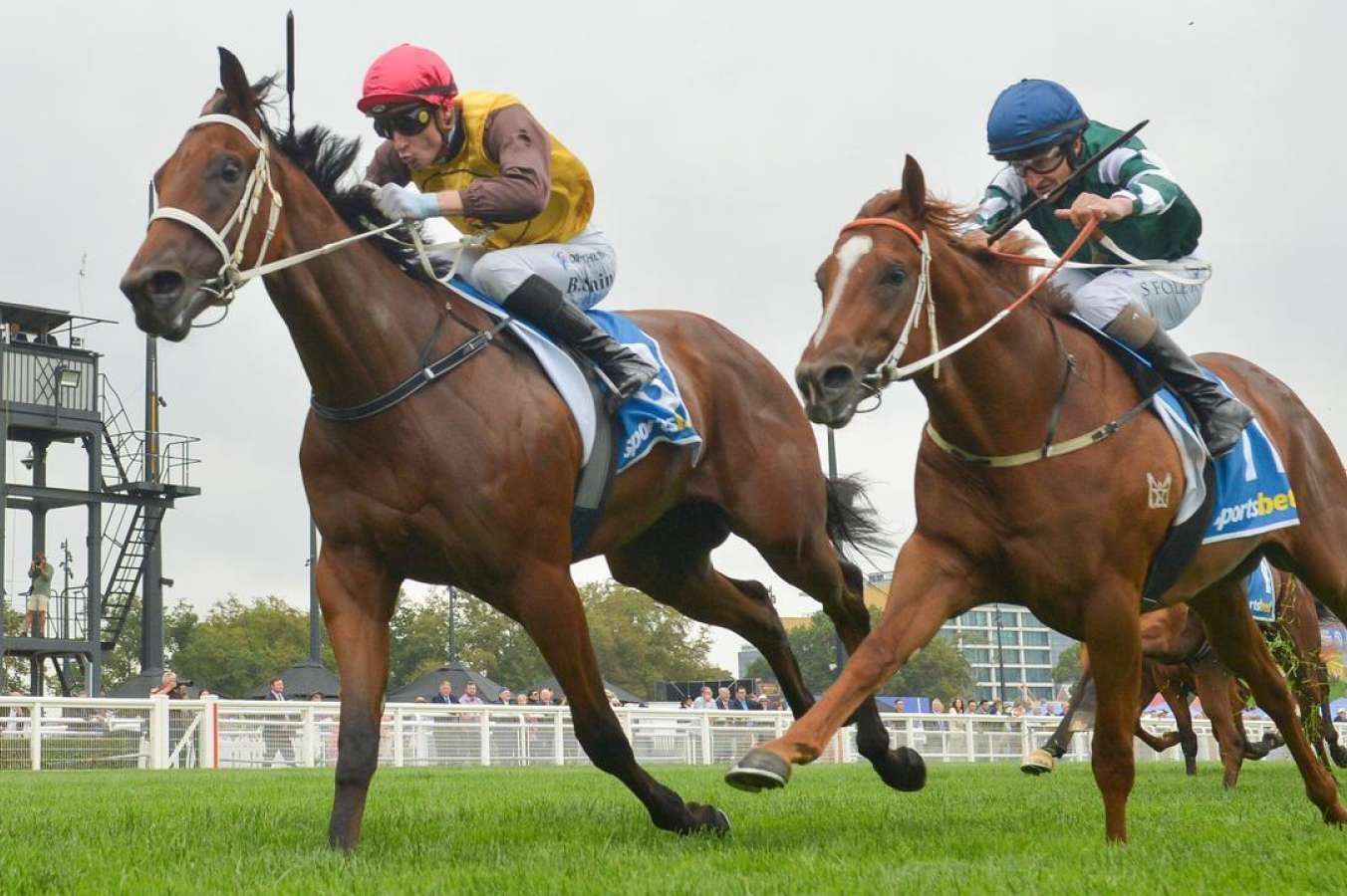 Field Of Play confirmed for 2025 Blue Diamond Stakes as connections ...