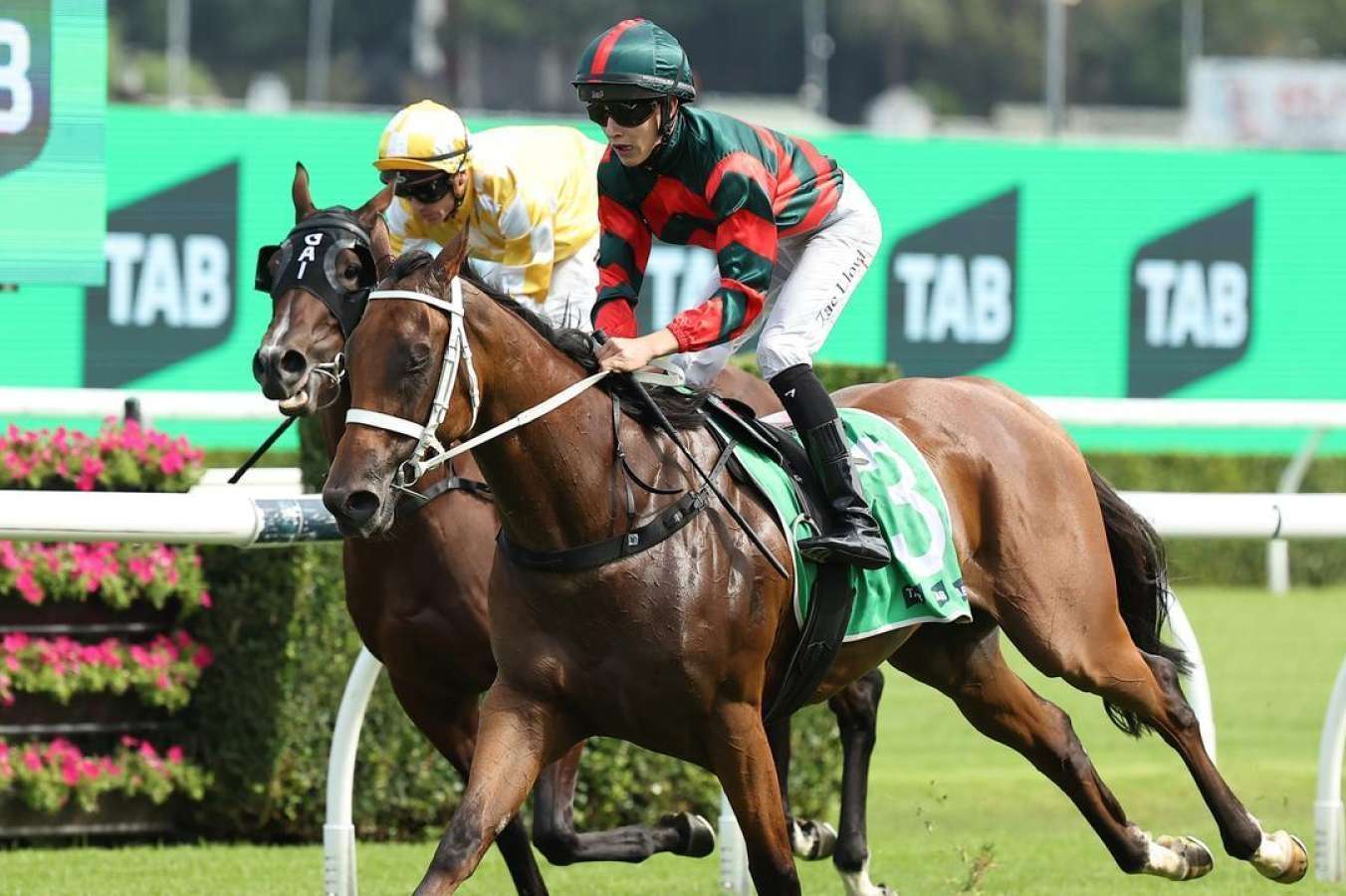 Lady Shenandoah set for Group 1 showdown with a dominant first-up win ...